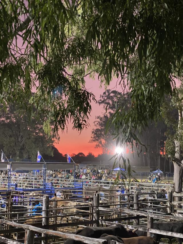 Rodeo ropes in good time - Gympie Today