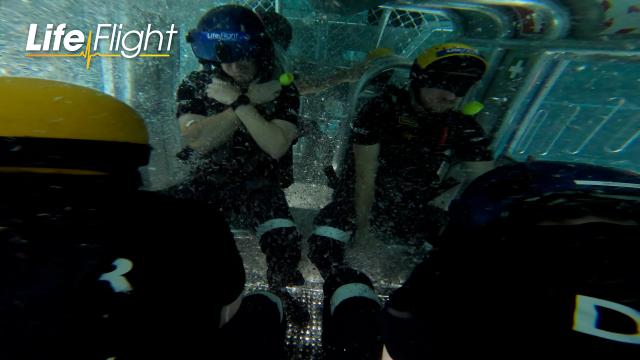 New Doc is flying high - Gympie Today