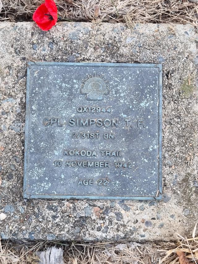 Missing tree leaves hole in family’s heart - Gympie Today