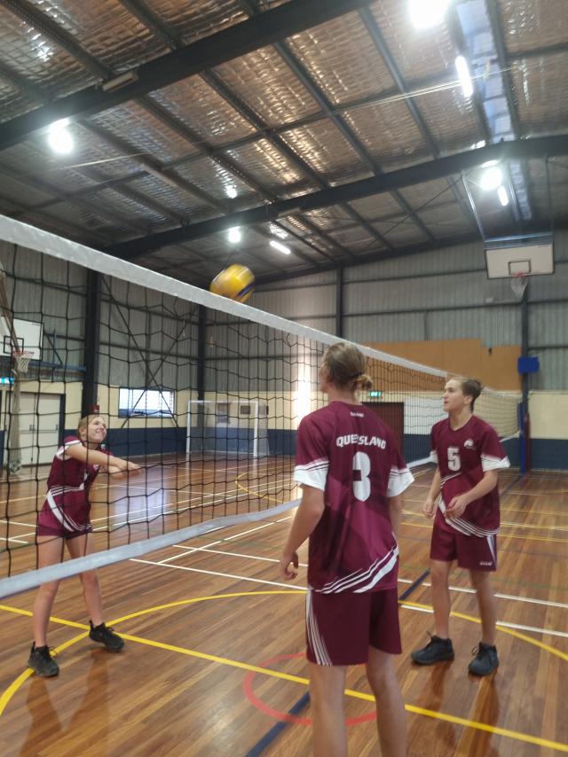 Gympie gold shines on volleyball court - Gympie Today