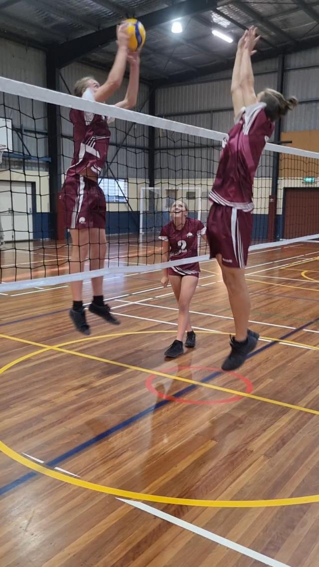 Gympie gold shines on volleyball court - Gympie Today
