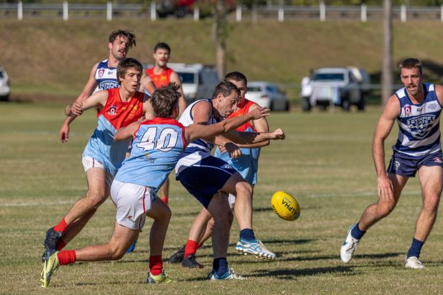 Gympie Cats achieve historic milestones - Gympie Today