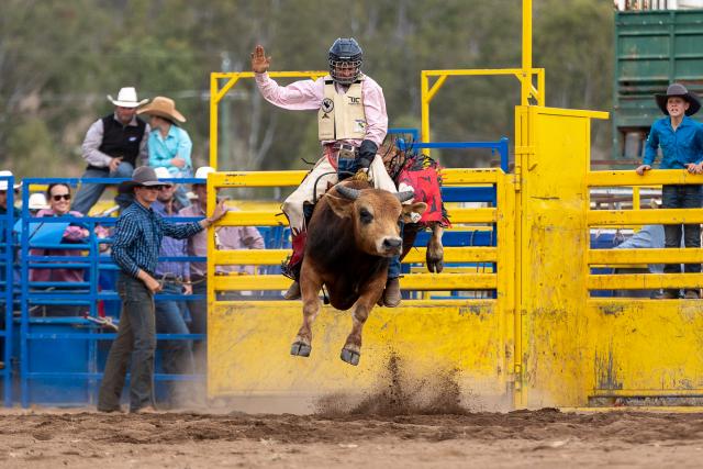 Roping rodeo action - Gympie Today