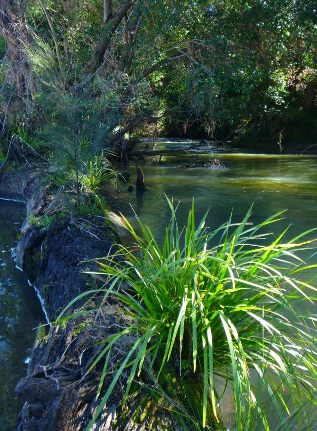 Call for return of Environment Levy - Gympie Today
