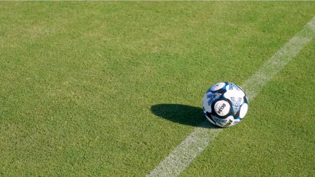 Australian first turf in Gympie - Gympie Today