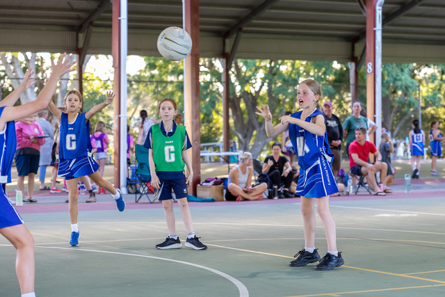 Nothing but net - Gympie Today