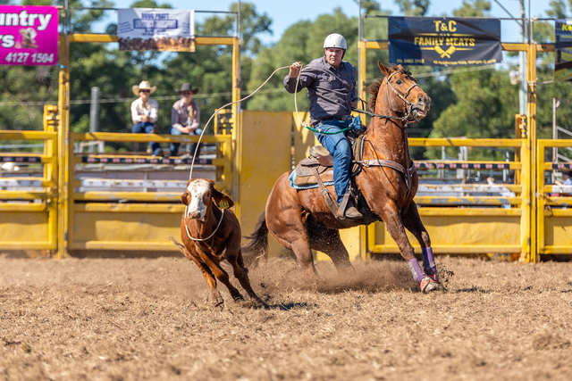 Show rodeo rears up - Gympie Today