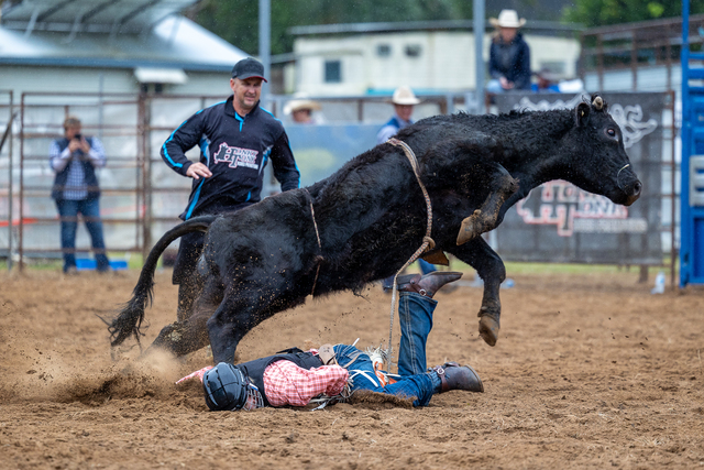 Rough rides all round - Gympie Today