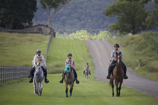 Endurance riding a sport for all - Gympie Today